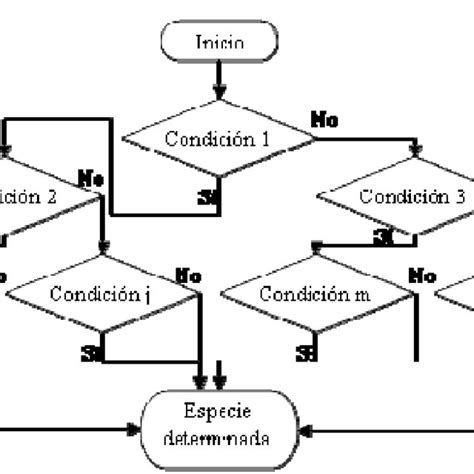 Diagrama De Flujo Download Scientific Diagram