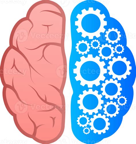 Human Brain Medical Internal Organ Neural Network Brainstorming Idea 50702431 Png