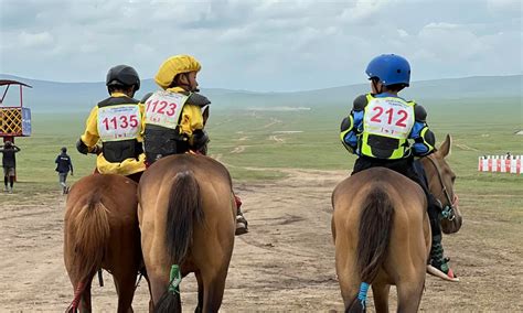 Нийслэлийн Гэр бүл хүүхэд залуучуудын хөгжлийн газар