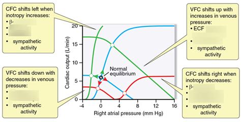 Cardiac Function Curve And Vascular Function Curve Diagram Quizlet