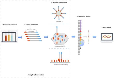 Schematic Diagram Of Next Generation Sequencing 1 Nucleic Acid Is