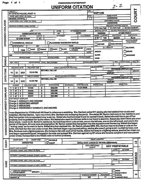 Jail Term For Woman In Sex Toy Stabbing The Smoking Gun