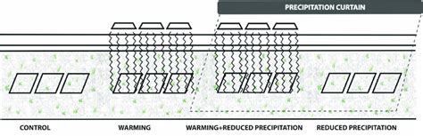 Experimental Setup With Manipulations Warmed The Active Warming W