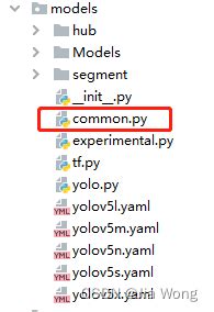 改进YOLO系列 添加SE注意力机制