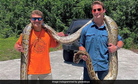 Longest Python Found
