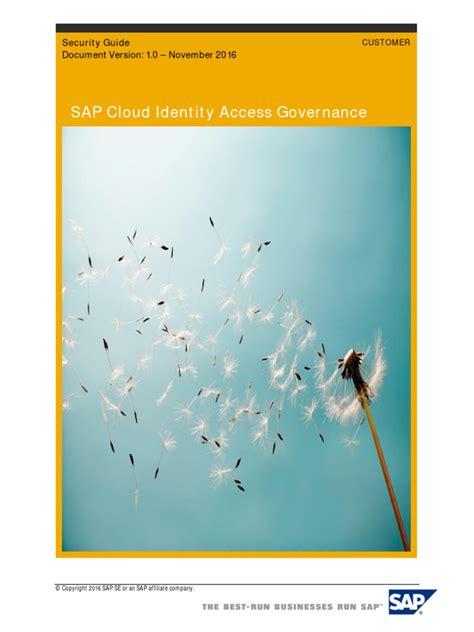 Sap Cloud Iag Security Guide Pdf Cloud Computing Software Engineering