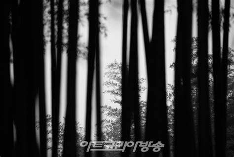 원춘호 흑백사진전 마디 마디 흰 그림자