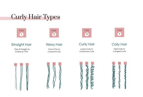 Curly Hair Types Explained A Comprehensive Guide