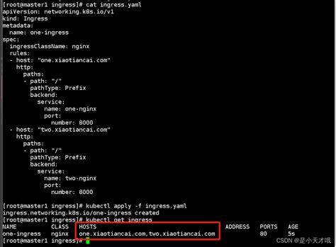K8s Ingress 实操ingress配置域名 Csdn博客