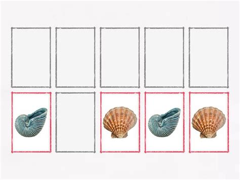 Match The Shells Pairs Matching Pairs