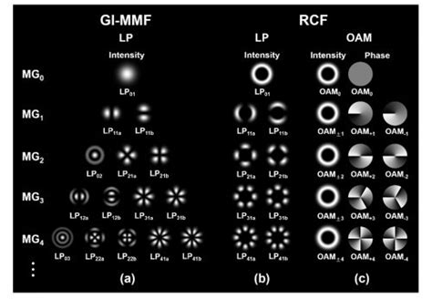 Diagrams Of A Intensity Of The Linearly Polarized LP Modes In Each Download Scientific