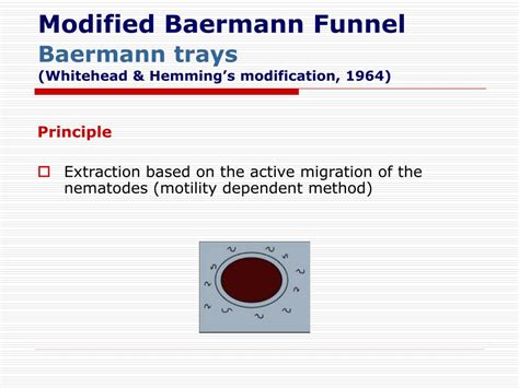 Ppt Nematode Extraction Methods Baermann Funnel And Modified Baermann Techniques Powerpoint