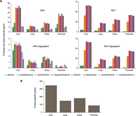 assessment and optimization of explainable machine learning models