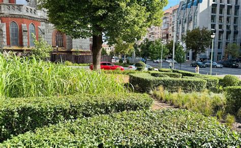 Яскрава зелена оаза у Печерському районі оновили сквер ФОТО Вечірній Київ