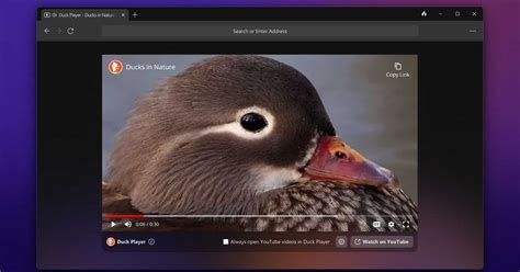 Secure Browsing Redefined With Duckduckgo Browser For Windows Secure Browsing Redefined With Duckduckgo Browser For Windows