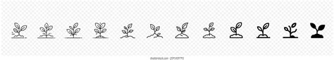 5263 Stages Of Plant Icons 免版税图片、库存照片和图像 Shutterstock