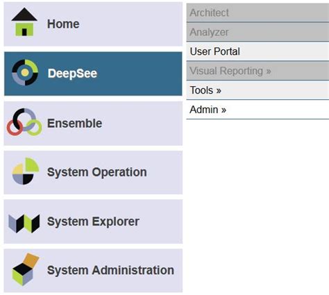 Accessing A New Deepsee Namespace For The First Time Intersystems