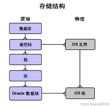 Oracle数据库学习 Csdn博客