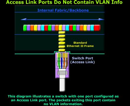 VLANs Access Trunk Links