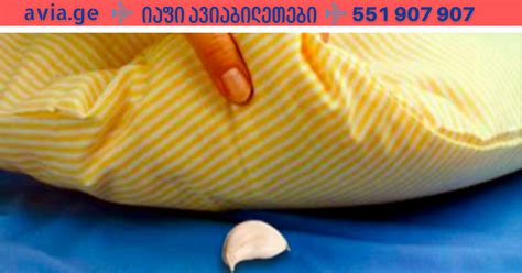 ასე ძალიან რატომ ვაფასებ ნიორს ეს ნამდვილად არ გეცოდინებათ Aww Ge კარაბადინი