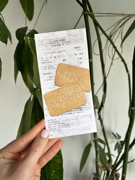 Naughty And Nice Biscuits B Evans Designs