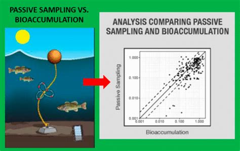 Passive Sampling Based Versus Conventional Based Metrics For Evaluating Remediation Efficacy At