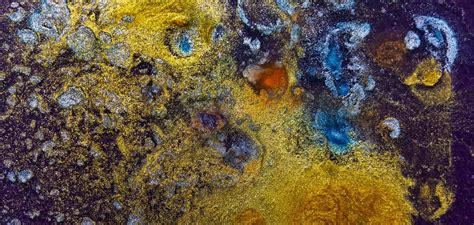 What Is Data Labeling In Machine Learning Label Your Data