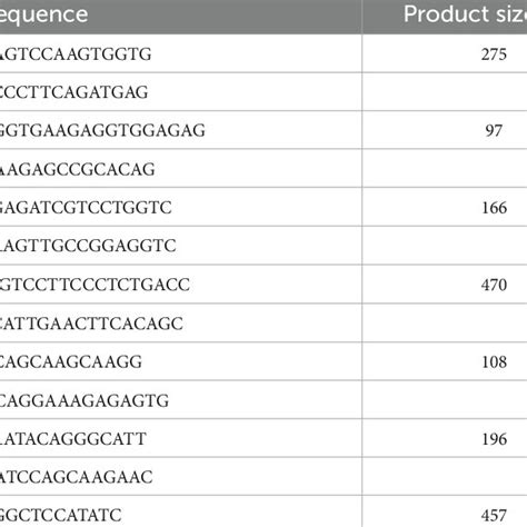 The Forward And Reverse Of Primer Sequence Product Size Accession Download Scientific Diagram