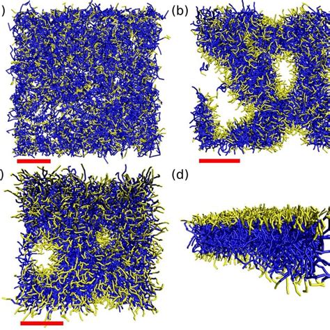 Power Spectrum Of The Height Fluctuations Hq 2 Of The Fluid Phase At