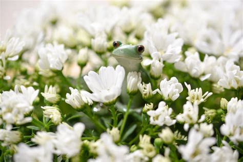 「啓蟄」の写真素材 222件の無料イラスト画像 Adobe Stock