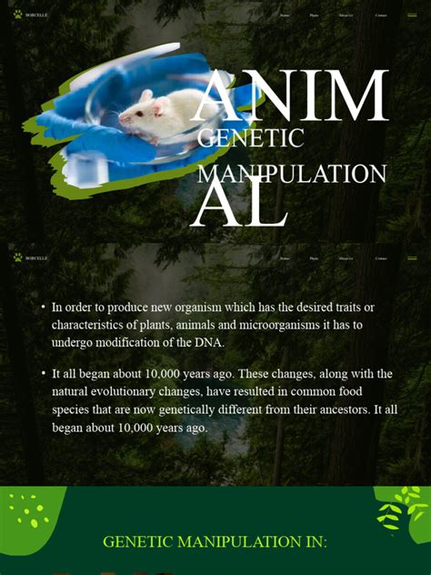 Atomic Theory Science Presentation Colorful 3d Style Pdf Embryo