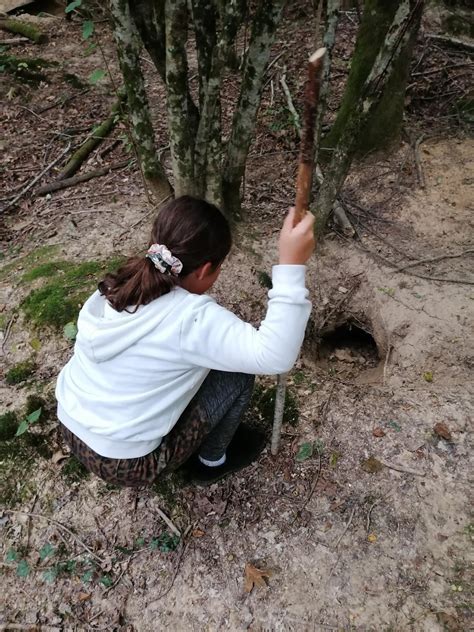 Nature Watch Camping Sous Les Belles étoiles