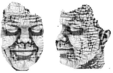 example shape index images the dark regions correspond to a shape