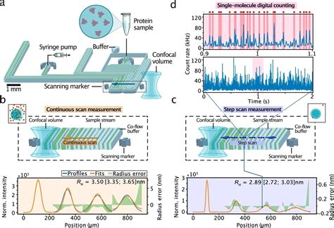 Microfluidic Diffusional Sizing Of Single Molecule Proteins