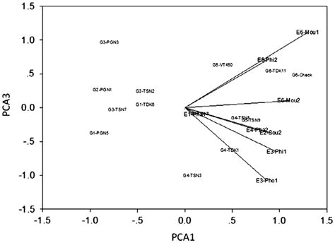 B Principal Component Analysis Location Standardized For The