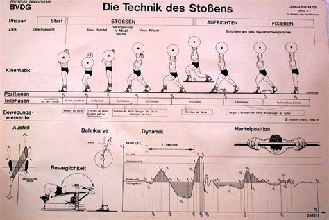 Weightlifting Technique Posters For Snatch Clean And Jerk All Things Gym