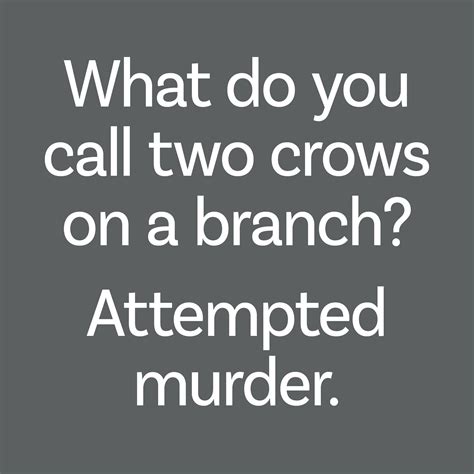 Nominative Determinism Clean Jokes Puns Jokes Jokes