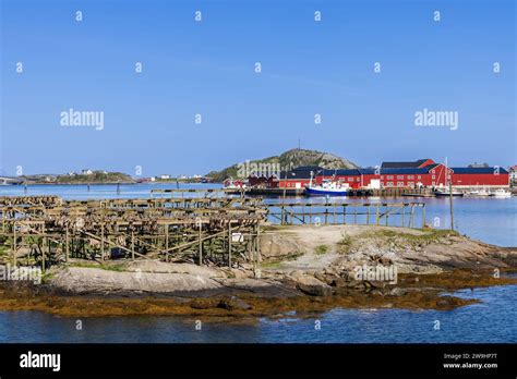 Cod Drying Racks In The Harbor Of Reine On Lofoten Island Featuring A