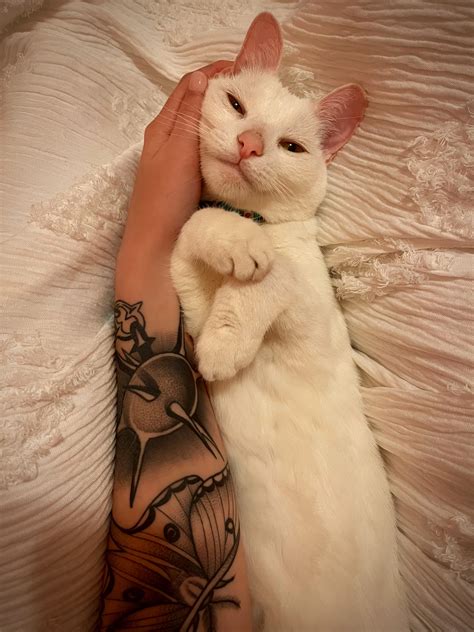 Cuddles Are Her Favorite Pass Time Look At The Content Face Scrolller