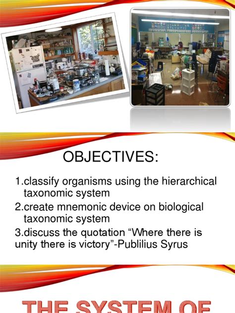 System Of Classification 171007024939 Jona Pdf Taxonomy Biology Science