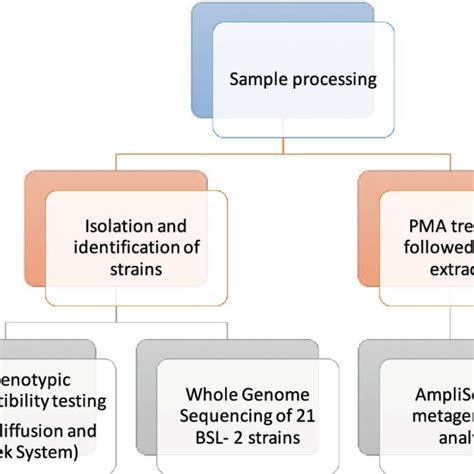 Schematic Of Analyses Performed On 24 Samples Collected From Various