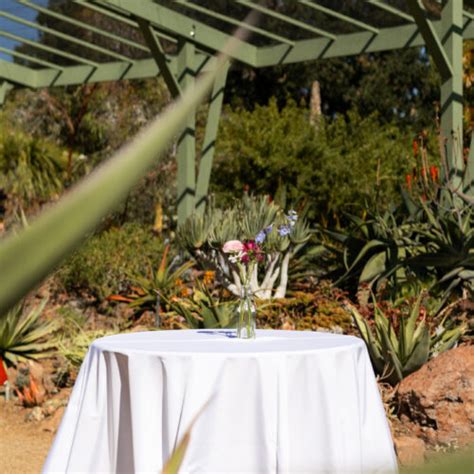 Dylan And Nick The Ruth Bancroft Garden And Nursery