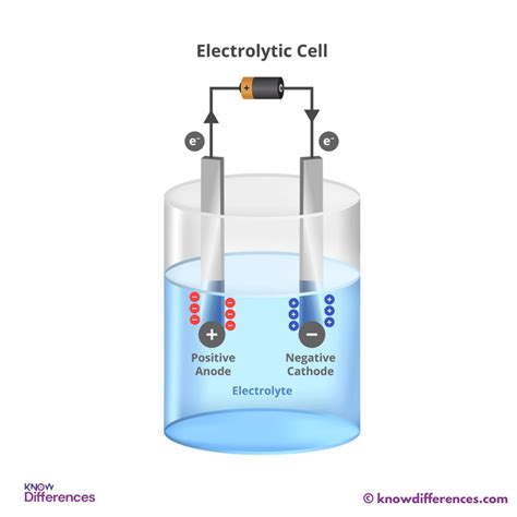 Difference Between Electrochemical Cell And Electrolytic Cell