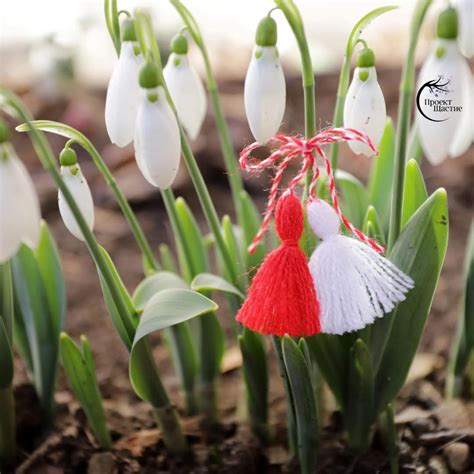Bi Auto Честита Баба Марта ⚪️🔴 Бъдете здрави 🙏🏻 Facebook
