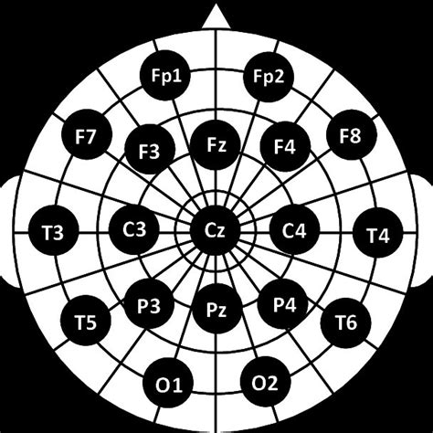 Overview Of The Electrodes Used For Recording Download Scientific Diagram