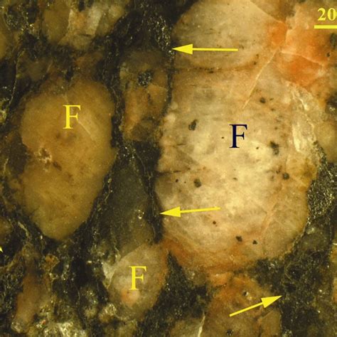 Photograph Of Polished Surface Of Granitoid Showing Strong Preferential Download Scientific