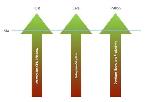 Mohammad Shankayi On Linkedin Why Should I Use Go Over Rust Java Or Python