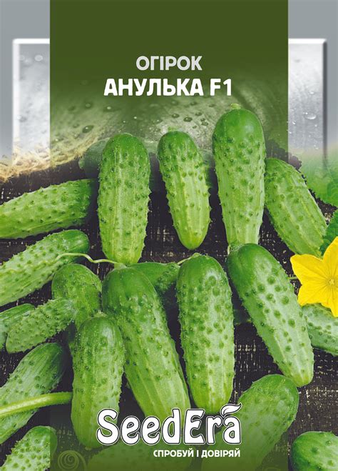 Огірок Анулька F1 - Овочі - Сімейний Сад