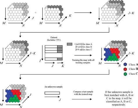 Scheme For Classification Of An Unknown Sample Using Supervised Soms Download Scientific