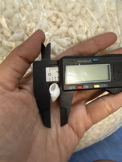 สร้อยคอ ข้อมือ กระดูกงู เชือกเทียน อะไหล่หิน กระดูก ราคาส่ง เริ่ม10 บาท หอยสังข์ ขนาด 10 มิล